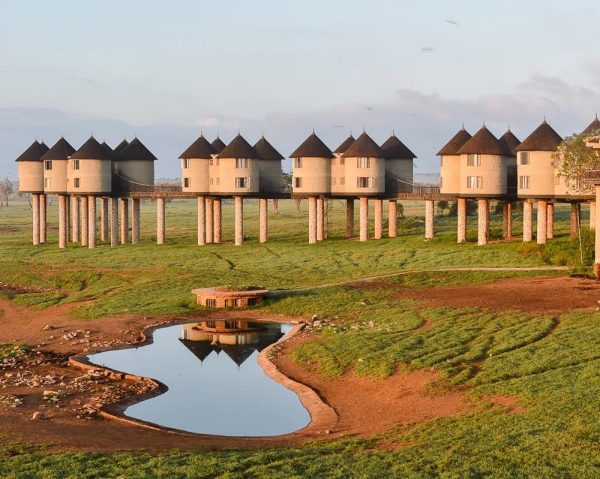 Salt Lick Safari Lodge, Taita Hills Wildlife Conservancy